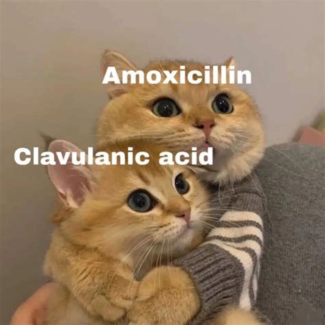 Dr Mohammad Ali Shariati Your 🥰🧬🔬🧫🧪🤍🤍🤍 Instagram