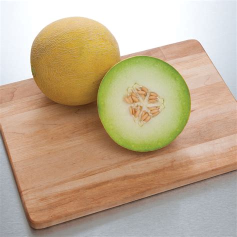 Diplomat Galia Melon Seed Johnnys Selected Seeds