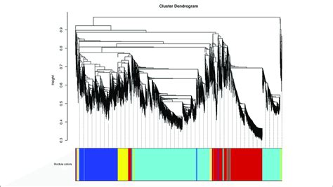 Hierarchical Cluster Tree Showing Co Expression Modules Identified By Download Scientific
