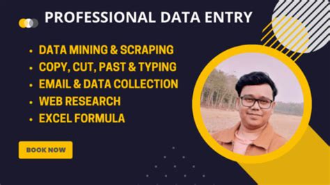 be data entry expert web research data mining excel specialist by nadim