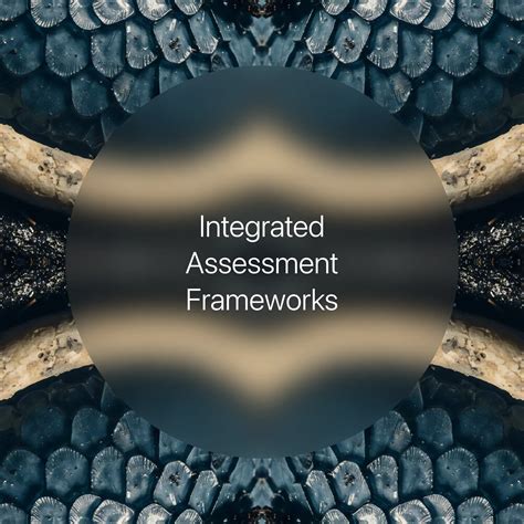 Integrated Assessment Frameworks → Term