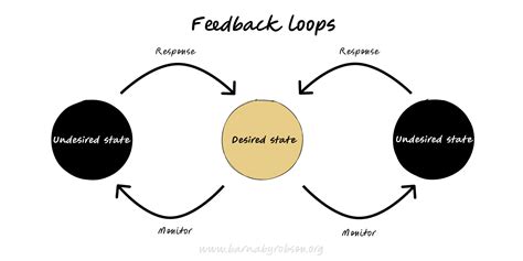 Feedback Loops Barnaby Robson