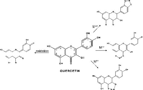 Quercetin And Its Complexation And Oxidation Products Download