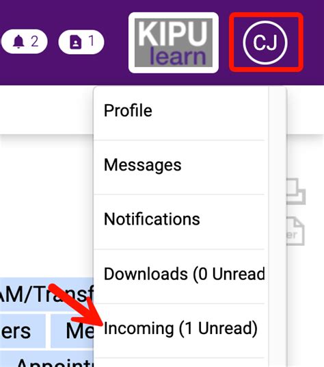 Incoming Patients Kipu Health