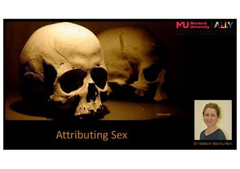 Sex Attribution Attributing Sex Dr Natalie Warburton Bgfons