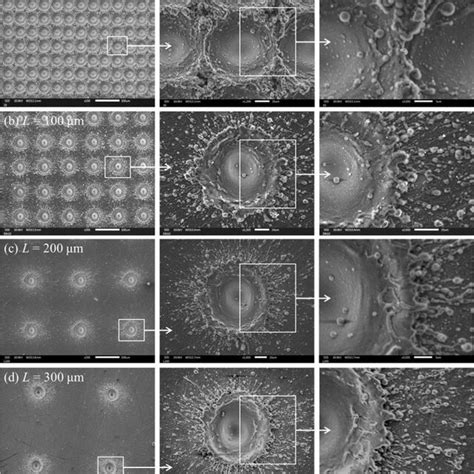 Surface Microstructure After Treatment A Metallographic Grinding Download Scientific