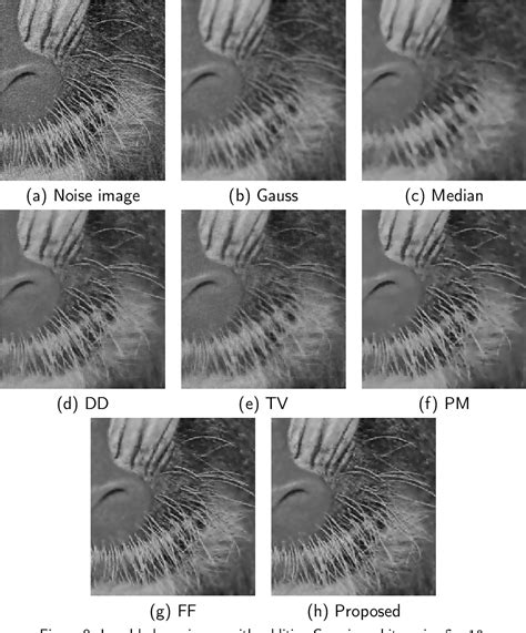 Figure 8 From An Efficient Feature Preserving Pde Algorithm For Image