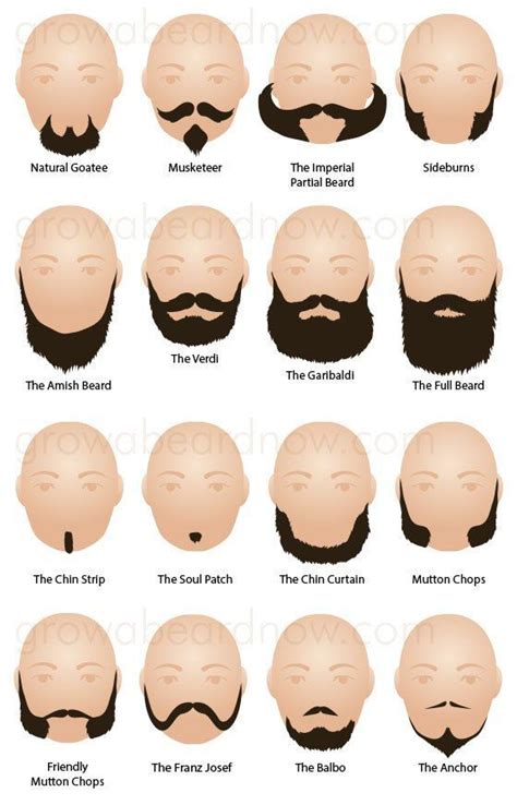 Types Of Facial Hair Facial Hair Grooming Mens Facial Hair Styles