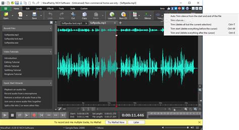 WavePad Audio And Music Editor Download Softpedia