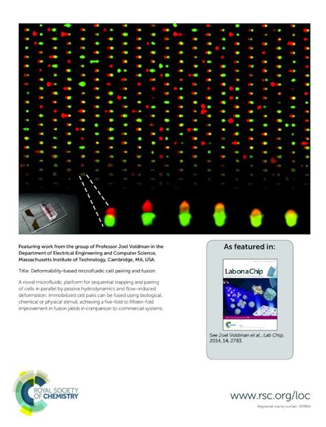 Pdf Deformability Based Microfluidic Cell Pairing And Fusion