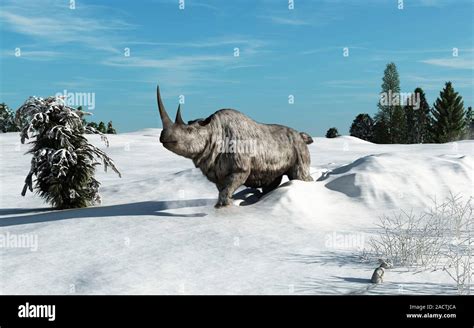 Woolly Rhinoceros Coelodonta Antiquitatis Artwork This Prehistoric