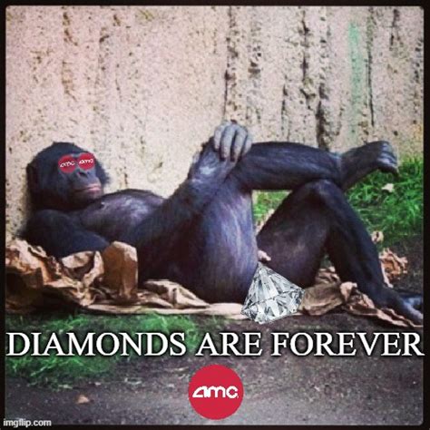 Diamond Hands Are Forever Imgflip