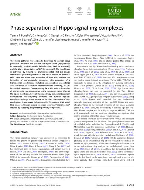 pdf phase separation of hippo signalling complexes