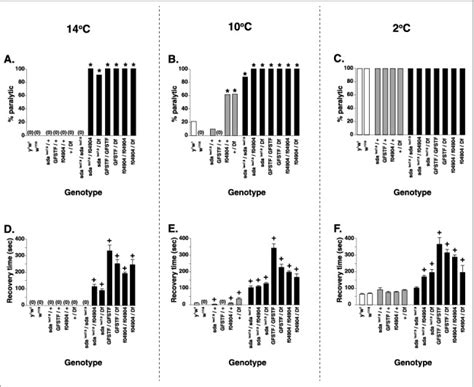 Extending Julius Seizure A Bang Sensitive Gene As A Model For