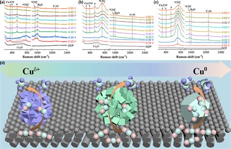 In Situ Raman Spectra Of A Cu‐1 5 B Cu‐1 7 And C Cu‐2 0 Gdes At Download Scientific