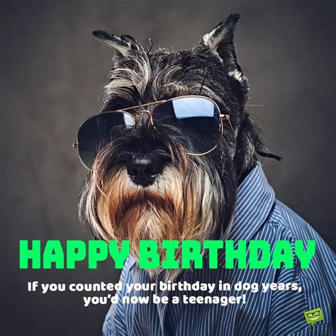 Funny Pic For Birthday Massage For Happy Birthday