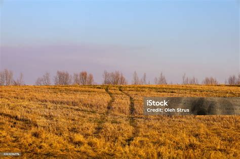 이 사진은 마른 노란 풀로 뒤덮인 들판과 지평선에 잎이 없는 나무들이 줄지어 서 있는 시골 풍경을 포착합니다 들판을 가로지르는 두 개의 평행한 트랙이 보입니다 0명에 대한