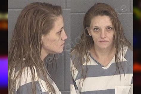 Meagan Feaster — Barrow County Jail Bookings