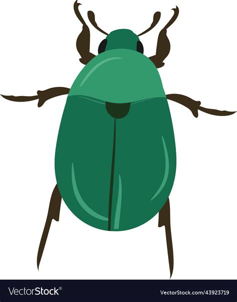 Beetle Royalty Free Vector Image Vectorstock