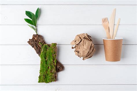 공예 종이 커피 컵 녹색 잎 새싹 나무 껍질 및 재활용 된 칼톱 보기 플랫 레이 제로 폐기물 친환경 천연 유기 플라스틱 무료 개념 복사 공간으로 생분해성 지구 0에 대한