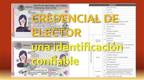 Que Es La Credencial De Elector Aceptada También Como Una