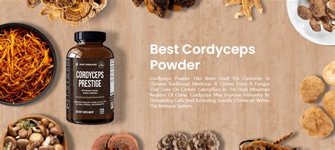 Buy 1 Get 2 Exp 31 May 2026 Cordyceps Prestige Supplement Triple