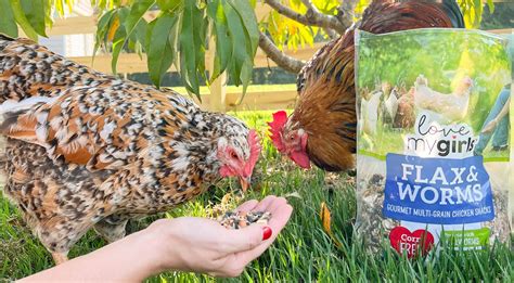 Love My Girls Fruit And Worms Corn Free Gourmet Chicken Treats 5 Lb Bag