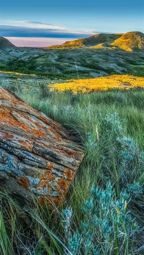 Bing Hd Wallpaper The Grass Looks Greener On This Side Bing