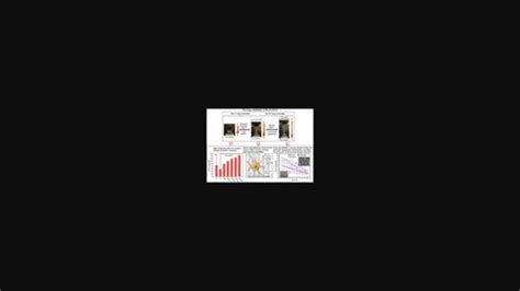 通过形成用于骨科应用的高度定向结构，提高聚（乳酸） B 聚（丙交酯 共 己内酯）的生物相容性并控制其体外降解 Journal Of