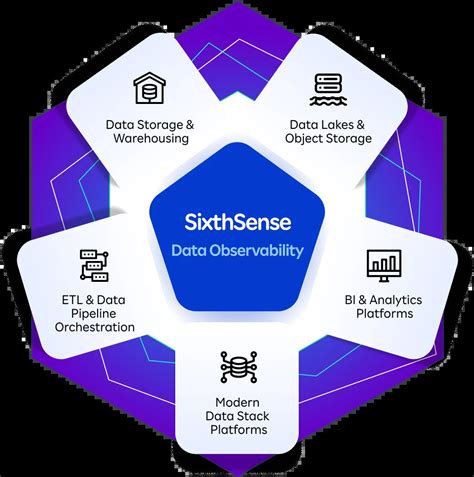 Overview Data Observability Rakuten Sixthsense
