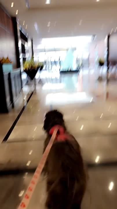 Danielle Weissman On Linkedin Waybackwednesday