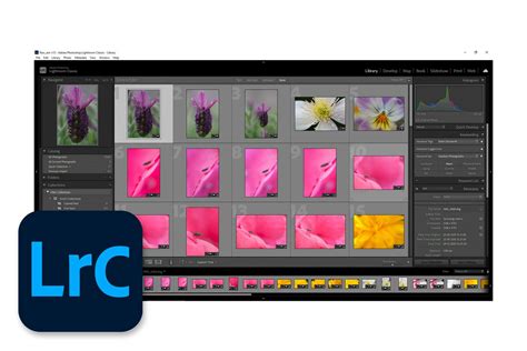 Adobe Photoshop Lightroom Classic Digitalfotodk