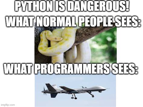 Python Is Dangerous R ProgrammerHumor