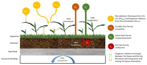 Essd Evapotranspiration Evaluation Using Three Different Protocols On