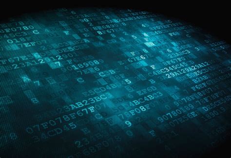 Creating A New Ipv6 Extension Header Hogg Networking