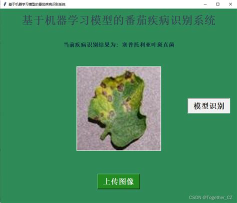 Python开发构建基于机器学习模型的番茄病虫害识别系统2、番茄叶片病虫害识别app的设计与开发 Csdn博客
