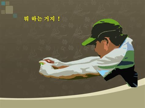 中 전투기 쓰는 파키스탄 “인도軍 최신예 라팔 격추”