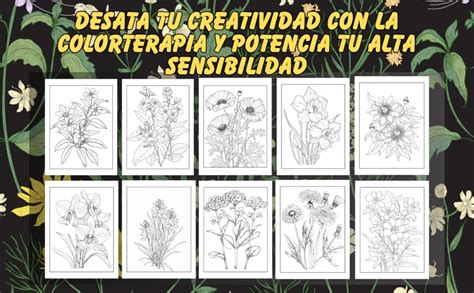 Plantas Medicinales Libro De Colorear Para Personas