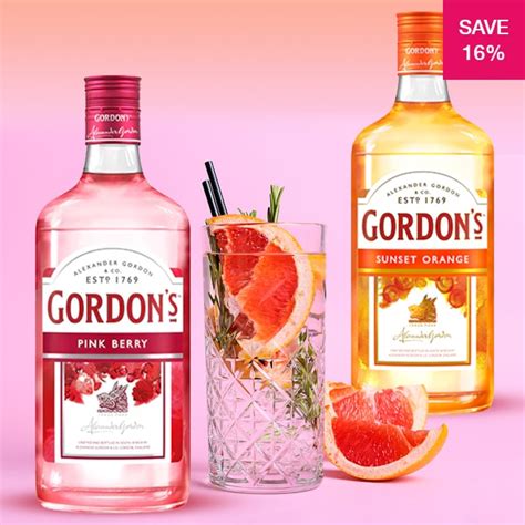 16 Off On Gordons 2x 750ml Flavoured Gin Onedayonly