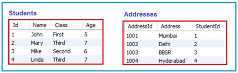 Database Relationships In Mysql Dot Net Tutorials