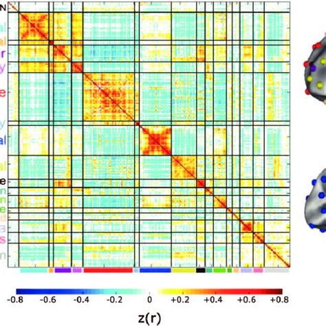 On The Left Is A Typical Connectivity Matrix Between A Standard Set Of Download Scientific