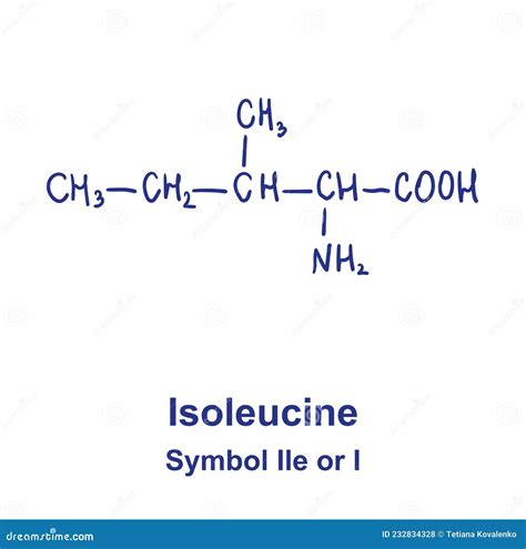 Isoleucine Chemical Formula Isoleucine 3d Realistic Chemical Molecular Structure Vector
