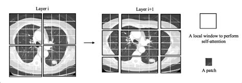 The Demonstration Of The Regular Window Partition In Layer I Left And