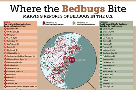 Where The Bedbugs Bite Mapping Reports Of Bedbugs In The Us 2026