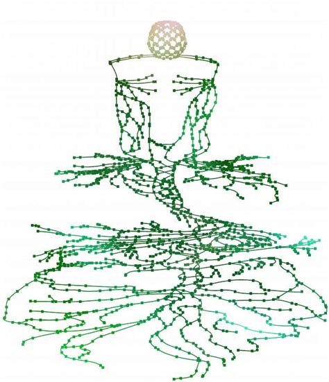 Jerrold Saija A Slim Band Something That Binds And A Range Of