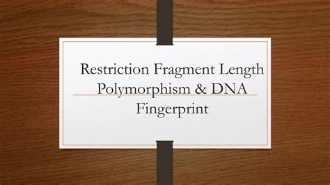 Rflp And Dna Fingerprint Pptx
