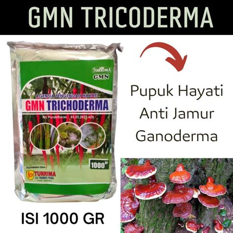 Obat Jamur Sawit Fungisida Hayati Tricoderma 1 Kg Trichoderma Pupuk