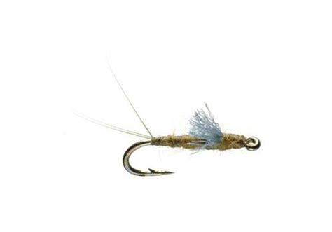 Rs 2 Fly Patterns Pattern Matching Algorithms