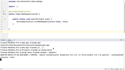 Opening The Intellij Idea Terminal Window Jetbrains Guide