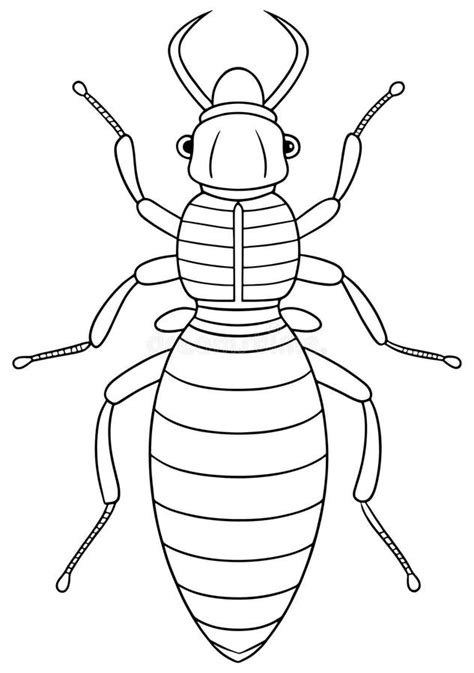 Termite Insect Drawing For Classroom Bug Study And Coloring Activities
